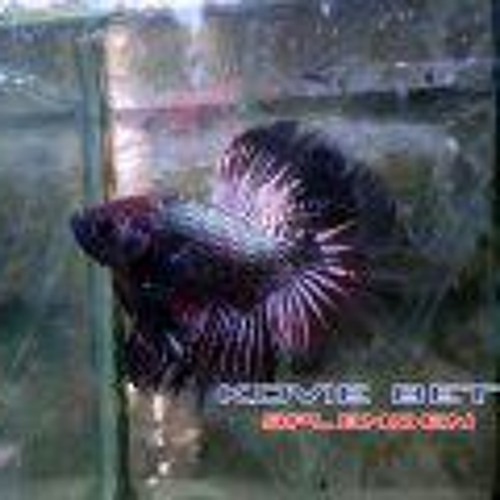 Stream Luo Han Hua music | Listen to songs, albums, playlists for free ...