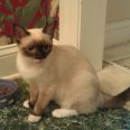 Stream Trey Endless Mike Fennell Music Listen To Songs Albums