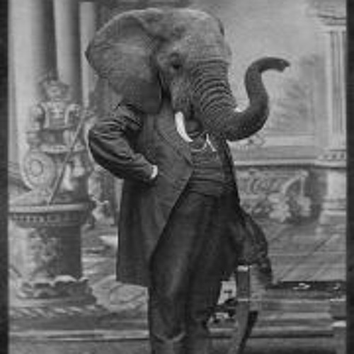 Stream William Walmsley music | Listen to songs, albums, playlists for ...