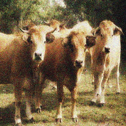 Stream Five Cows music | Listen to songs, albums, playlists for free on ...