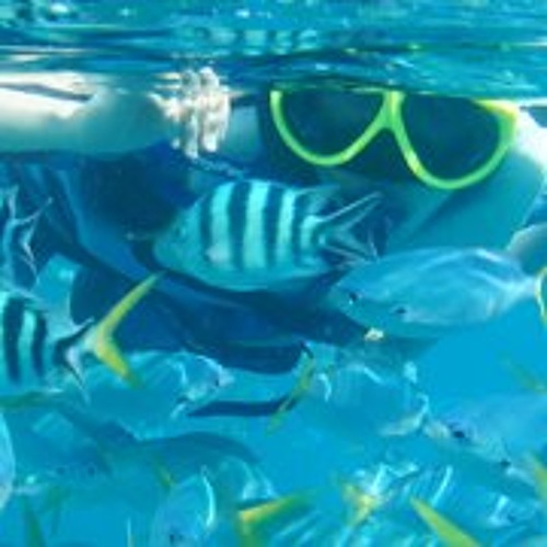 Stream Pei-chen Chen music | Listen to songs, albums, playlists for ...