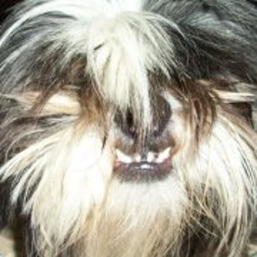 Stream Shauna West music | Listen to songs, albums, playlists for free ...