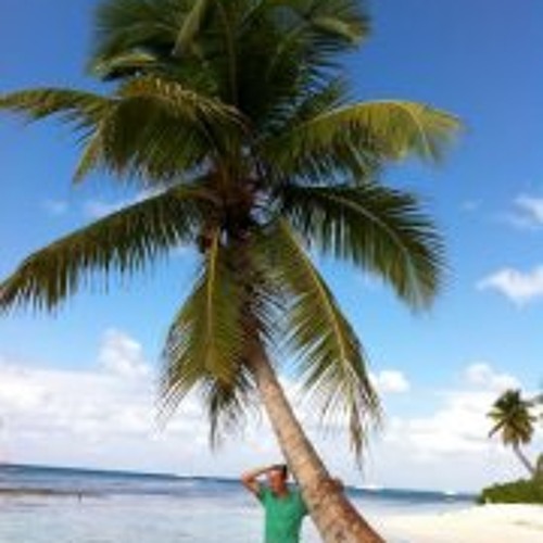 Stream Robin Boss music | Listen to songs, albums, playlists for free ...