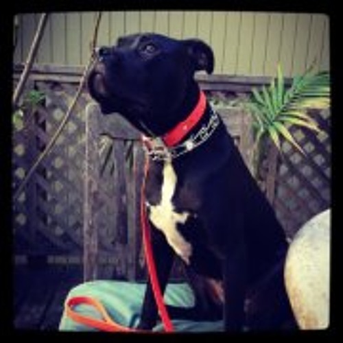 Stream Mike Shriver music | Listen to songs, albums, playlists for free ...