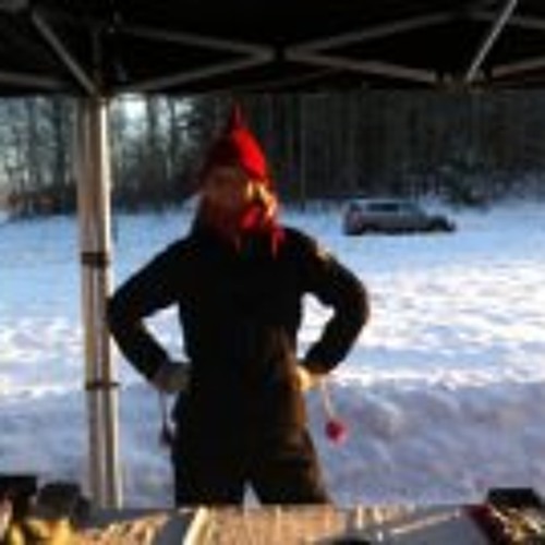 Stream Lisa Kitty Moberg music | Listen to songs, albums, playlists for ...