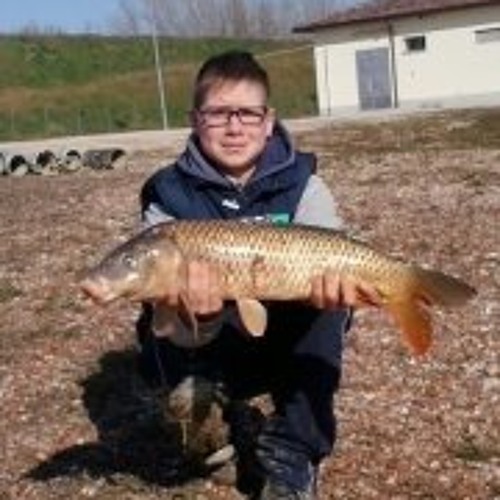 Stream Marco HD Speranza music | Listen to songs, albums, playlists for ...