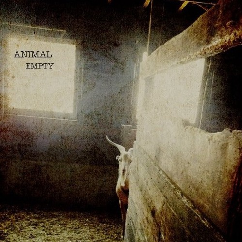 Stream Animal Empty music | Listen to songs, albums, playlists for free ...