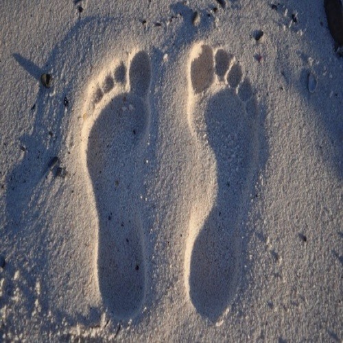 Stream felixi music | Listen to songs, albums, playlists for free on ...