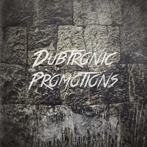 Stream Dubtronic Promotions music | Listen to songs, albums, playlists ...