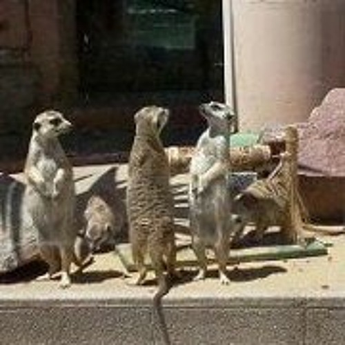 Stream Alvarez Angelito music | Listen to songs, albums, playlists for ...