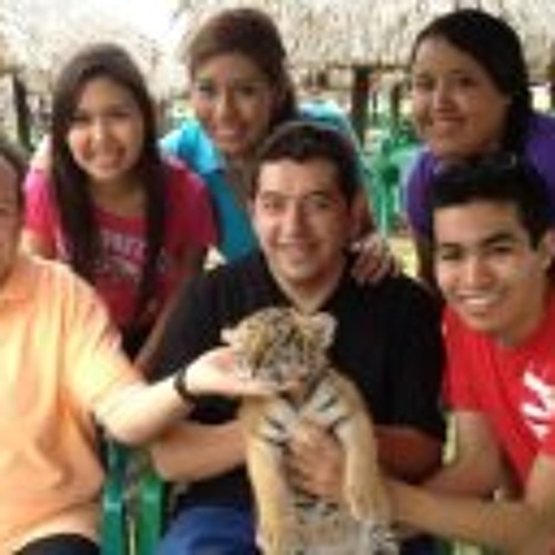 Stream Marlene Contreras music | Listen to songs, albums, playlists for ...