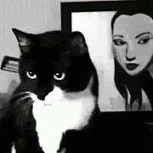 Stream Alison Colgan music | Listen to songs, albums, playlists for ...