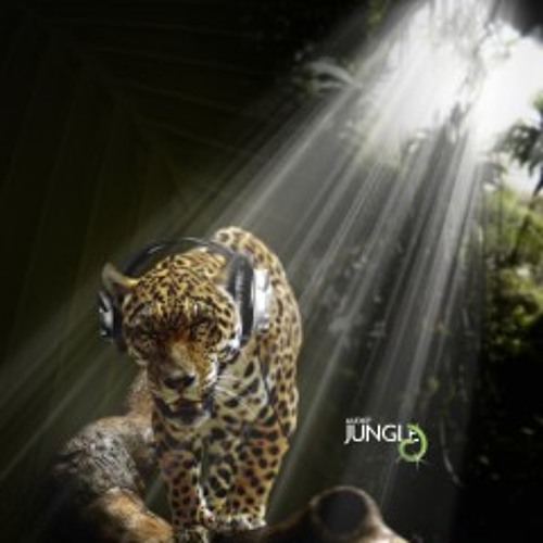 Stream Sheila Best music | Listen to songs, albums, playlists for free ...