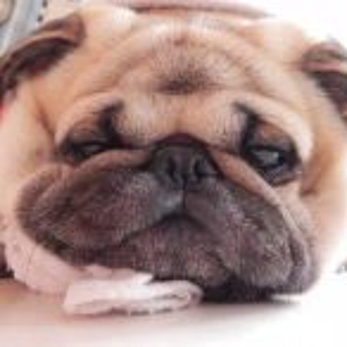 Stream Chit Thu May music | Listen to songs, albums, playlists for free ...