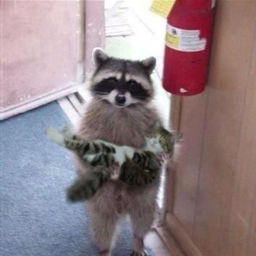 Stream Maria Lieberth music | Listen to songs, albums, playlists for ...