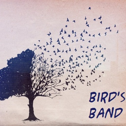 Stream Bird's_Band music | Listen to songs, albums, playlists for free ...