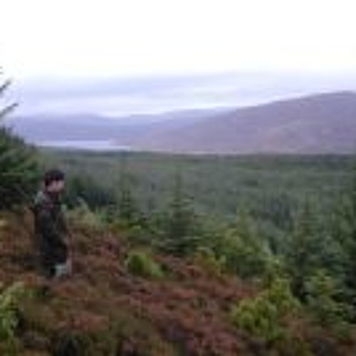 Stream Ali Mufti music | Listen to songs, albums, playlists for free on ...