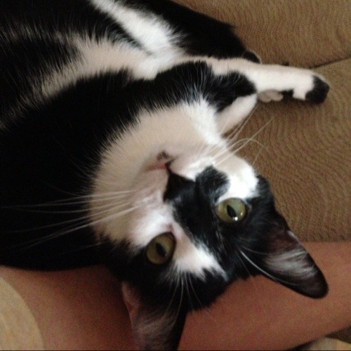 Stream Jacob Woolbright music | Listen to songs, albums, playlists for ...