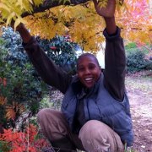 Stream Afia Walking Tree music | Listen to songs, albums, playlists for ...