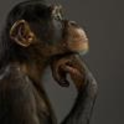 Stream Ivan Pe 1 music | Listen to songs, albums, playlists for free on ...