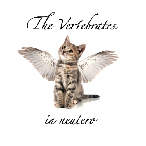 Stream The Vertebrates music | Listen to songs, albums, playlists for ...