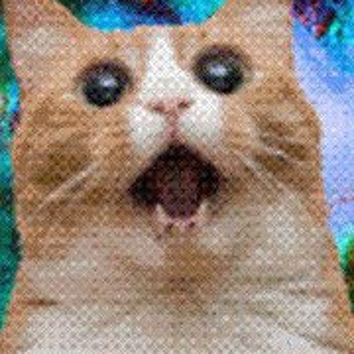 Stream Haha Fish music | Listen to songs, albums, playlists for free on ...