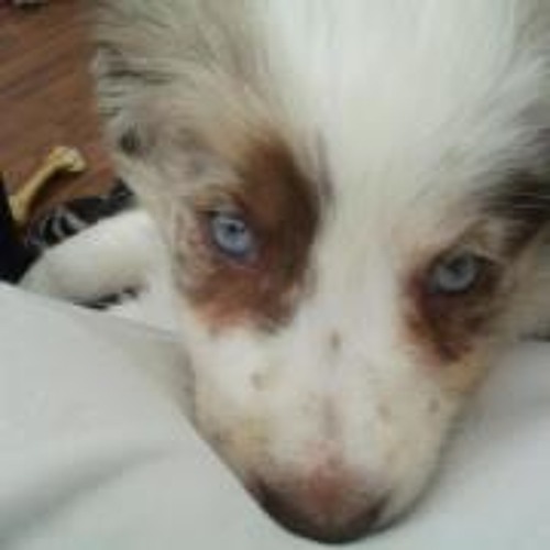 Stream Hannah Justice music | Listen to songs, albums, playlists for ...