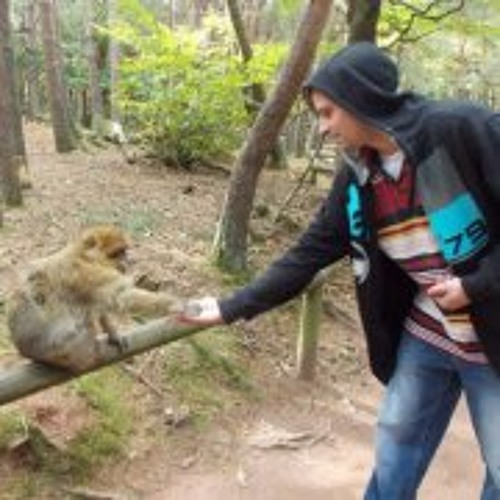 Stream Jason Singer 1 music | Listen to songs, albums, playlists for ...