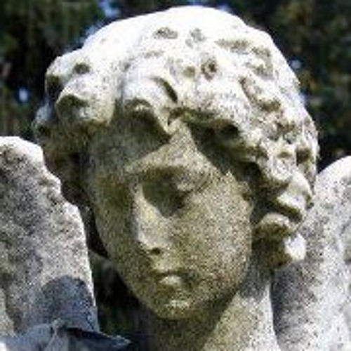 Stream Susan Marie Barnicle music | Listen to songs, albums, playlists ...