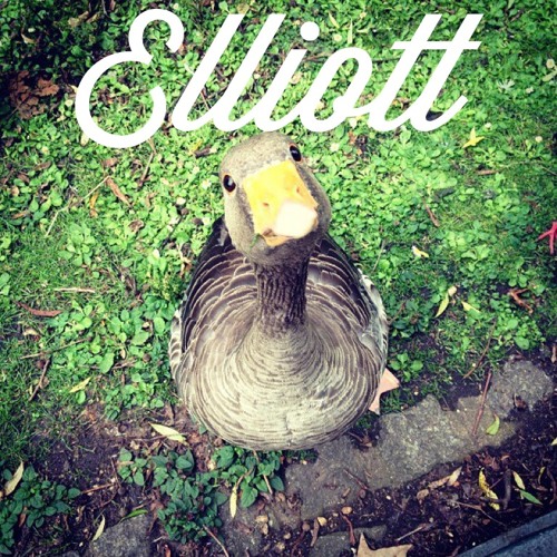 Stream Elliott Band music | Listen to songs, albums, playlists for free ...