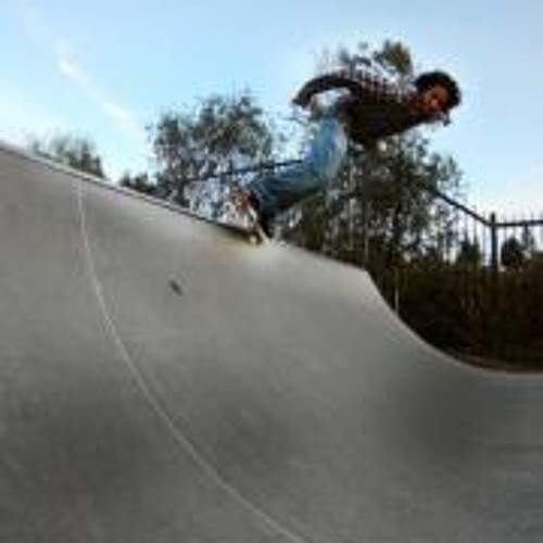 Stream Total Bummer (NOFX) by Suri Sherman | Listen online for free on ...