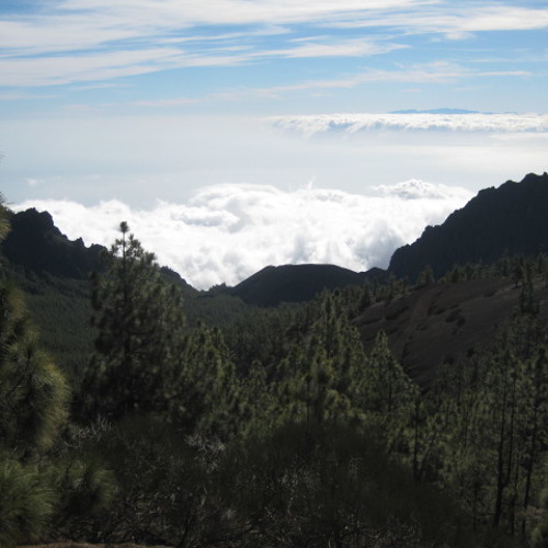 Stream Ollie Hutton music | Listen to songs, albums, playlists for free ...