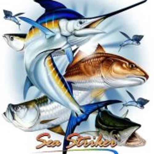 Stream p_kelly13 | Listen to Daniel Kelly playlist online for free on ...