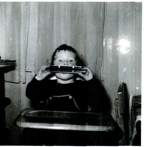 Stream Gospel Harmonica - Joshua fit the battle of Jericho by Brian ...