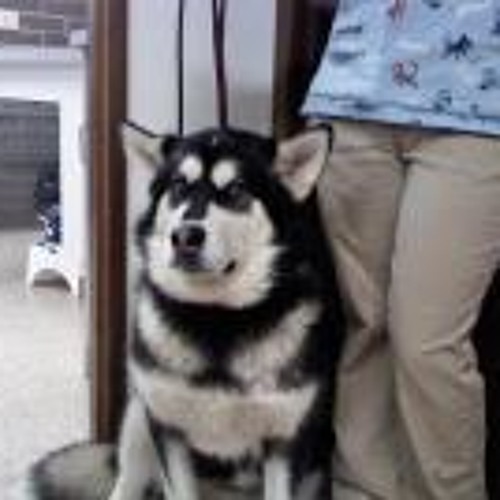 Stream Dan Griffith 1 music | Listen to songs, albums, playlists for ...