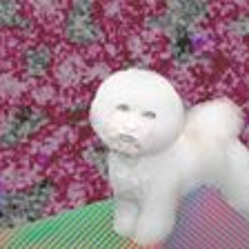 Stream SFC music | Listen to songs, albums, playlists for free on ...