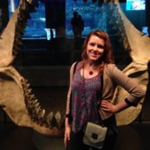 Stream Elizabeth Ann Cox music | Listen to songs, albums, playlists for ...