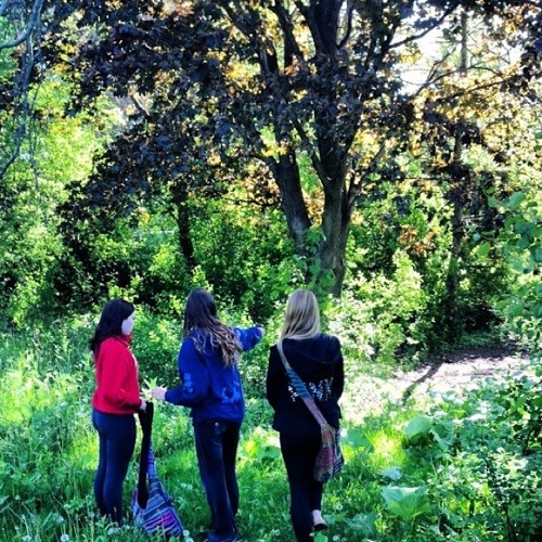 Stream Livia Widmar music | Listen to songs, albums, playlists for free ...