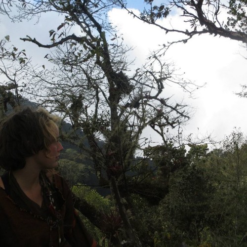 Stream Béatrice O'Leary music | Listen to songs, albums, playlists for ...