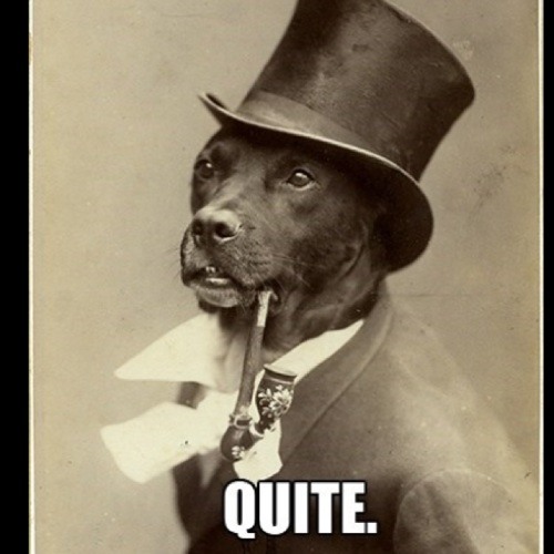 Stream Scott Croft music | Listen to songs, albums, playlists for free ...