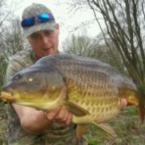 Stream Matt Applegate 1 music | Listen to songs, albums, playlists for ...