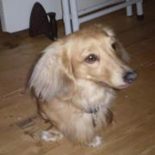 Stream Trish Hunt music | Listen to songs, albums, playlists for free ...