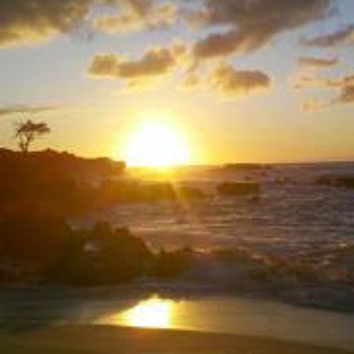 Stream Judith de Hart music | Listen to songs, albums, playlists for ...