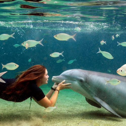 Stream Krysta Walker music | Listen to songs, albums, playlists for ...