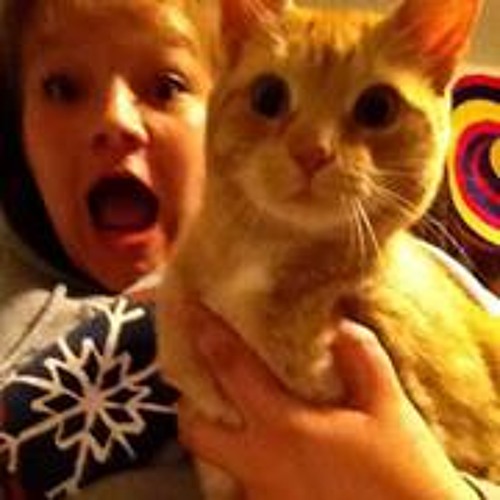 Stream Hannah Marie Heisler music | Listen to songs, albums, playlists ...