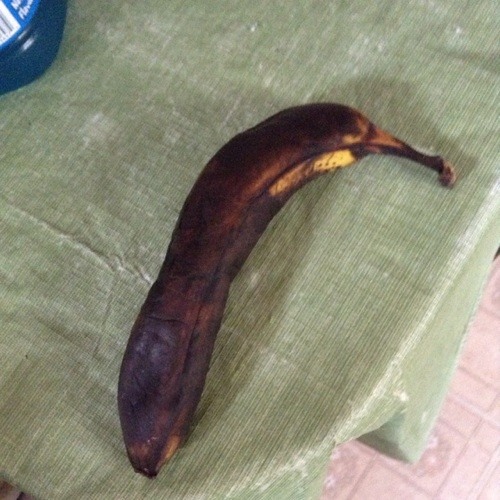 Stream !$hfvb music | Listen to songs, albums, playlists for free on ...