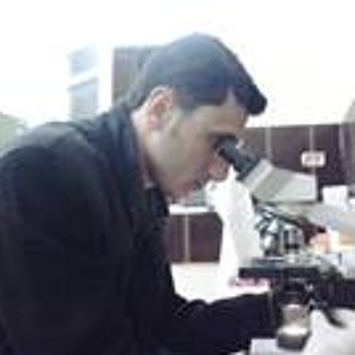 Stream Mostafa Fayed 3 music | Listen to songs, albums, playlists for ...