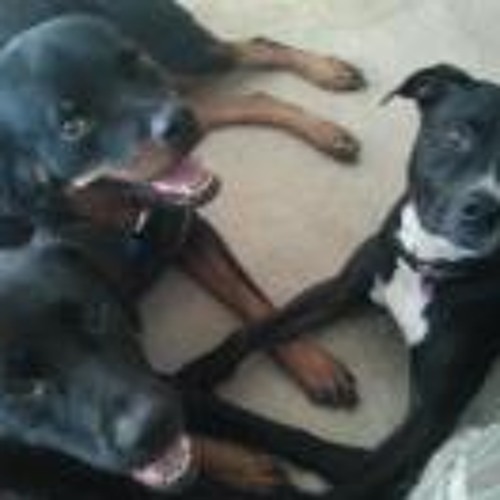 Stream Joseph James Castaldo music | Listen to songs, albums, playlists ...