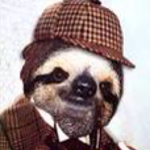 Stream sleuth sloth music | Listen to songs, albums, playlists for free on SoundCloud