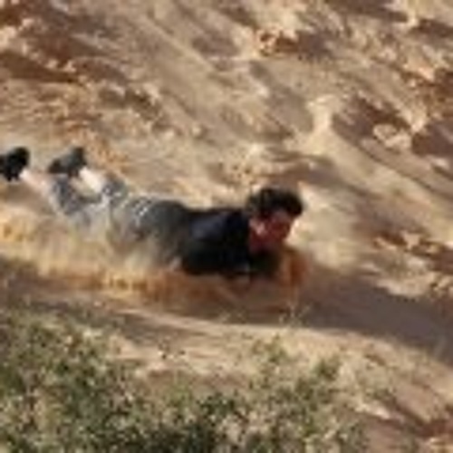 Stream Danie Opperman music | Listen to songs, albums, playlists for ...